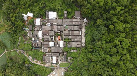 香港自遊樂在18區 荔枝窩村