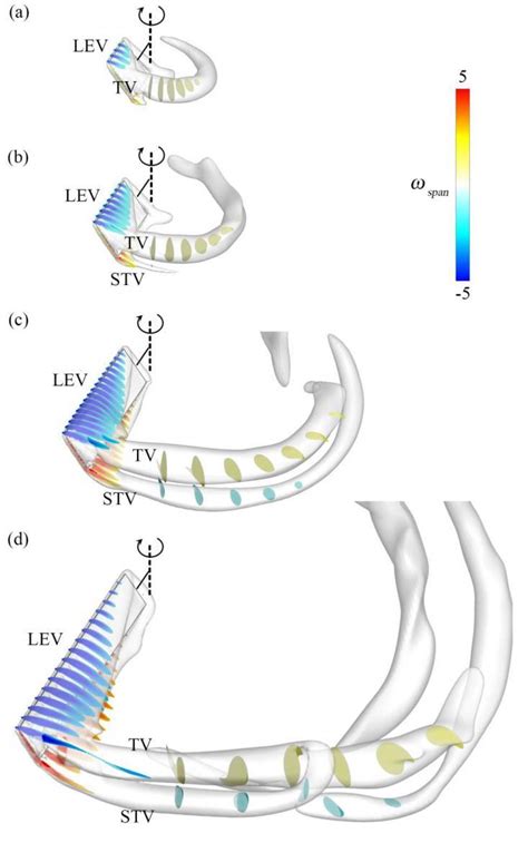 Comparison Of Vortex Structure When The Flow Reaches A Quasi Steady