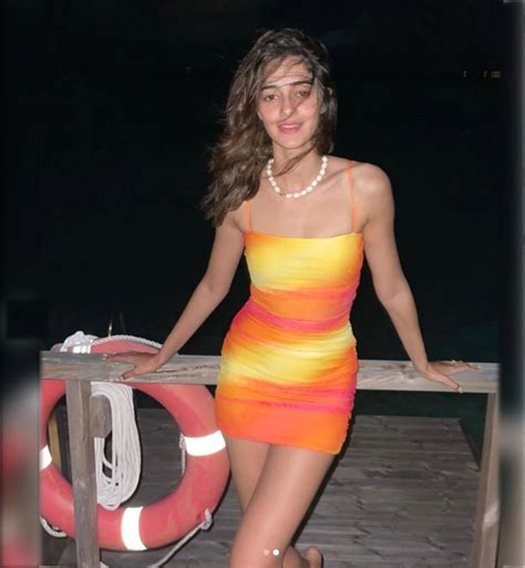 Ananya Pandayचा बिकनीतील हॉट अंदाज Photo Gallery On Ananya Pandays