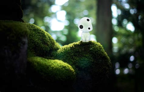 배경 화면 햇빛 숲 밤 추상 잔디 분기 녹색 공주 Mononoke 밀림 열대 우림 나무 잎 꽃 어둠
