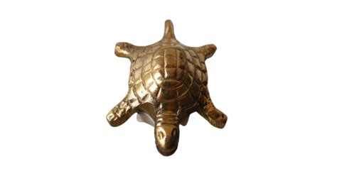 Kachuva 3 Inch ₹220