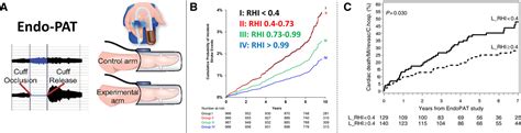 New Noninvasive Methods To Evaluate Microvascular Structure And