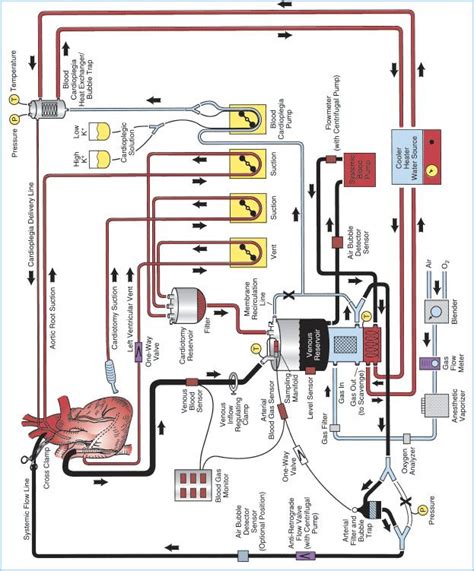 [diagram] Heart Lung Machine Diagram Mydiagram Online