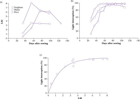 1221 Leaf Area Index And Canopy Light Climate Plants In Action
