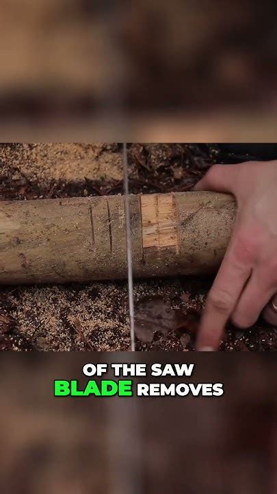 How To Create A Saddle Notch For Sturdy Log Shelters Youtube