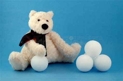 白色高清图片 雪球北极熊 雪球北极熊图片免费下载 5149530059 千图网Pro