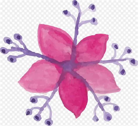 Png Png