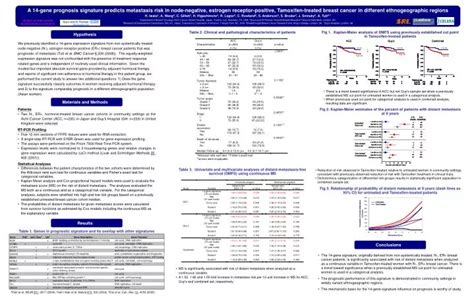 PPT Hypothesis PowerPoint Presentation Free Download ID