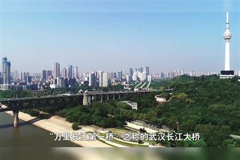 水上交通事故频发，船为什么总是撞桥？背后有何特殊原因