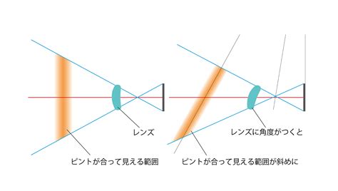 大判ならではのアオリ撮影①スイング 商品撮影 Com