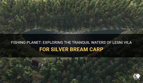 Fishing Planet Exploring The Tranquil Waters Of Lesni Vila For Silver Bream Carp PetShun