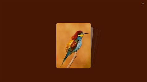 Scroll Driven Animated Card Stack With Scroll Snap Events