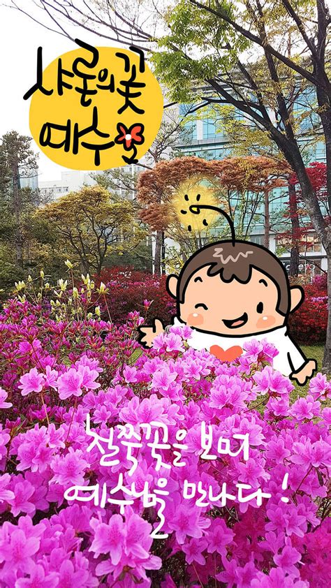 샤론의 꽃 예수