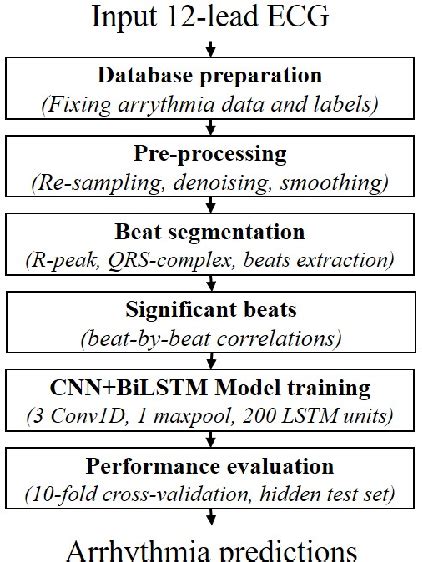 Figure 1 From Identification Of Cardiac Arrhythmias From 12 Lead Ecg Using Beat Wise Analysis