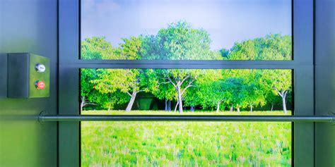 What Are We Celebrating Paulandalbert