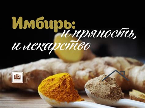 Имбирь: и пряность, и лекарство | muslim.kz