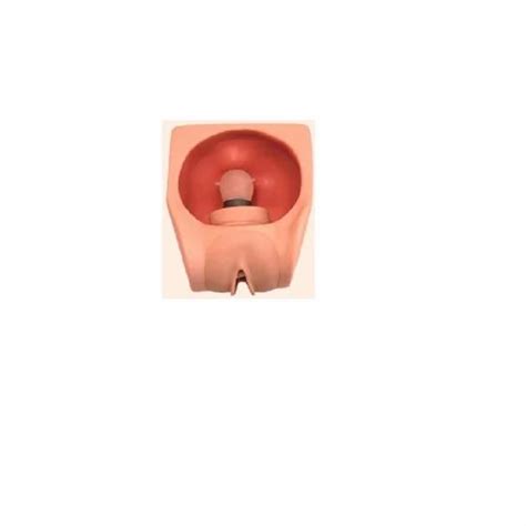 Polymerised Rubber Skin Color Female Contraception Practice Simulator
