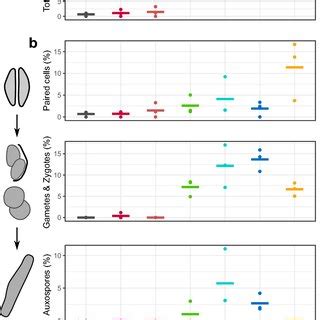 Influence Of Spectral Composition On Sexual Reproduction Frequency Of Download Scientific