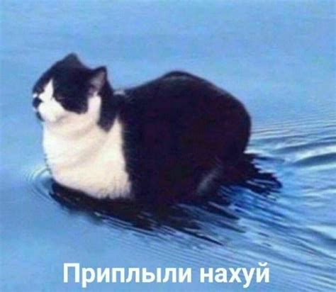 Вообще я планировала не болеть Когда я заболела я запланировала