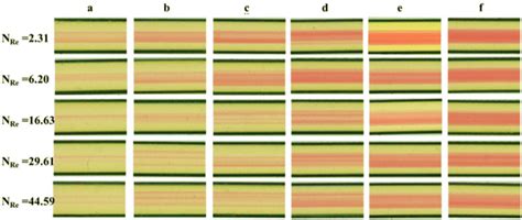 Hydrodynamics And Mixing Of Polymer Solutions With The Diazo Coupling