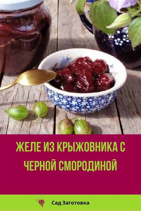Желе из крыжовника с черной смородиной | Кулинария, Зимние рецепты ...