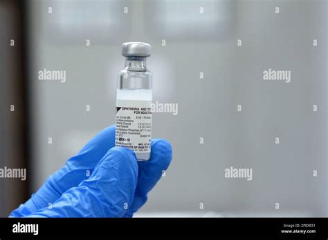 Cairo Egypt March 11 2023 Diphtheria Tetanus Vaccine For