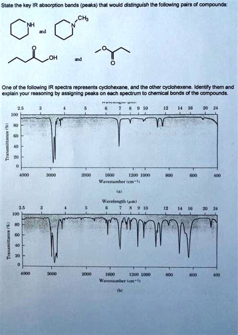 SOLVED: State the key IR absorption bands (peaks) that would ...