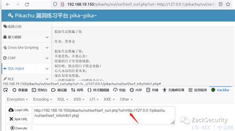 【web渗透入门】11ssrf漏洞讲解 Cn Sec 中文网