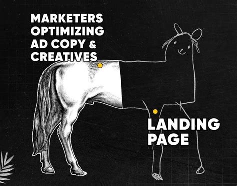 I Grew My Business And Personal Brand In Record Time Syed Mustafa Hassan