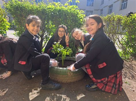 Ziua Bujorului La Școala „george Emil Palade” • Opinia Buzău