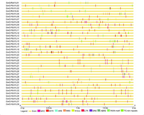 Predicted Cis Elements In Soybean Crrlk1l Gene Promoters Region