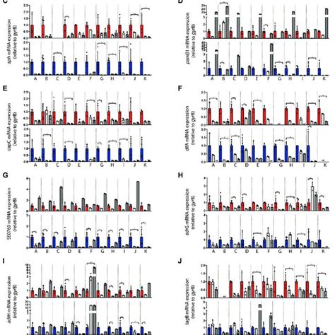 Transcriptional Analysis Of The Indicated Staphylococcus Epidermidis Download Scientific