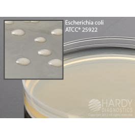 Letheen Agar Mod HDx 15x100mm Plt 10 Pk R