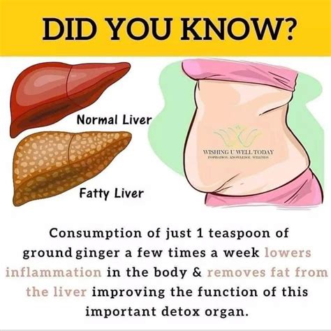 5 Best Yoga Asanas For A Healthy Liver A Step By Step Tutorial Artofit