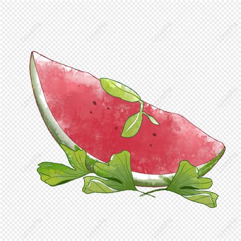 여름 과일 연꽃 수박 조합 그림 Png 일러스트 무료 다운로드 Lovepik