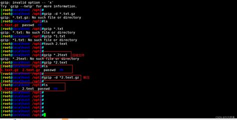 Linux Csdn