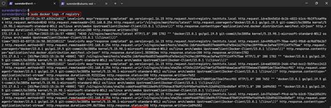 Private Docker Registry Setup 4sysops