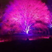 Trevor Hutton On Twitter SaskiaHeijltjes Well I Guess Those Houses Are Selling For About