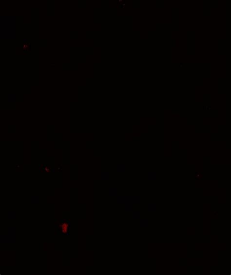 Cellprofiler Java Heap Space Errors With Only Three 200kb Images