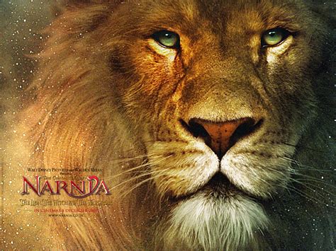 Aslan Aslan Wallpaper 18376547 Fanpop