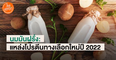 Potato Milk นมมันฝรั่งแหล่งโปรตีนทางเลือกใหม่ปี 2022
