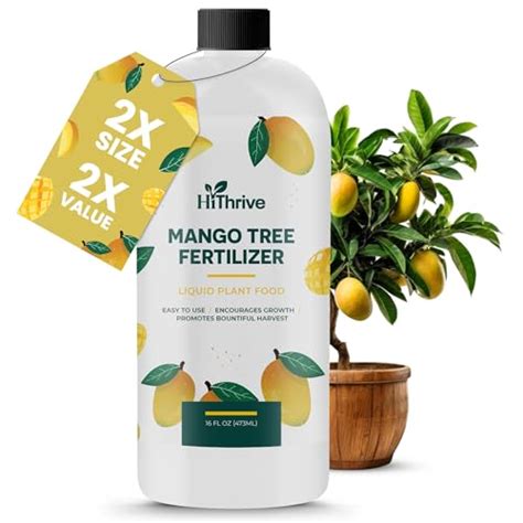 Best Mango Tree Fertilizers For Bigger Juicier Harvests Backyard Alpha