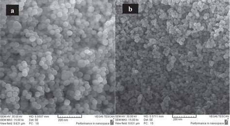 Sem Image Of A Un Modified And B Surface Modified Tio2