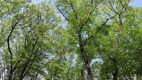 Spring Bootのwebの一覧画面上でページング処理を実装してみた完成イメージと前提条件｜itエンジニアとして経験・学習したこと