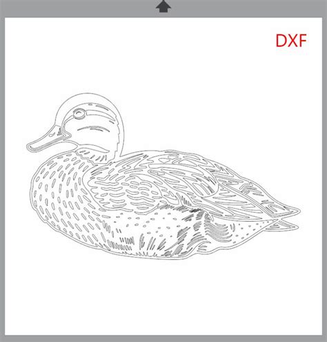 Mallard Duck Svg Duck Svg Mallard Duck Vector Duck Lover Etsy