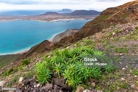 Lanzarote 카나리아 제도 스페인의 엘 Mirador 델 리오에서 일몰에서 대서양과 라 그 레 시오 사 섬에 보기 0명에