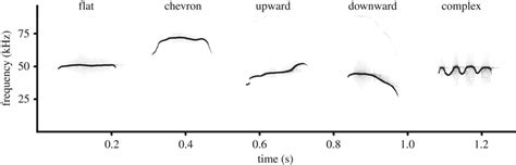 Spectrogram Illustrating The Five Contour Shapes Occurring In Pup Download Scientific Diagram