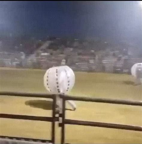 Bull Vs Bubble Suit Rjackass