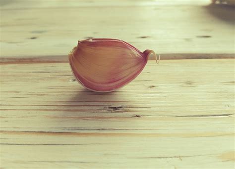 Garlic Clove Of Spice · Free Photo On Pixabay