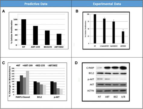 Mm Patient 1 Predictive Vs Experimental Results Predictive A Vs Download Scientific